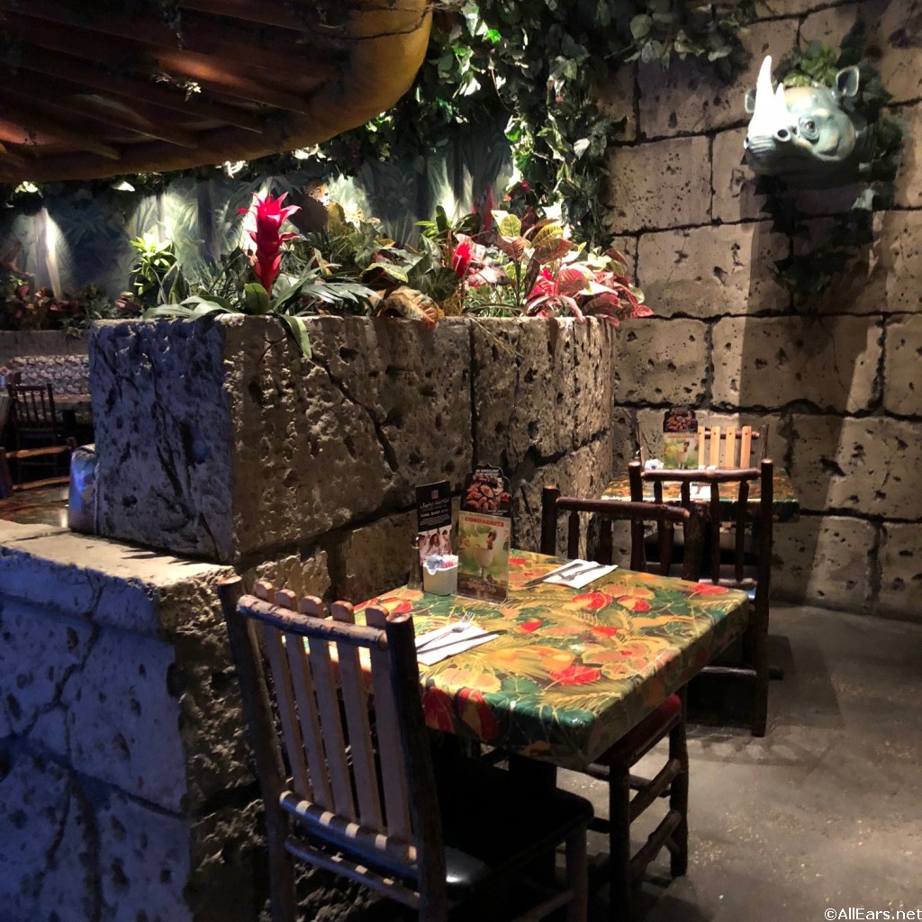 Interior Pictures of Rainforest Cafe in Walt Disney World - AllEars.Net