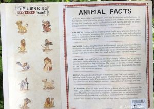 animal-kingdom-lion-king-scavenger-hunt-19-02 - AllEars.Net