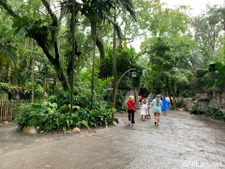 The Ultimate Guide To Disney World Landscaping - AllEars.Net