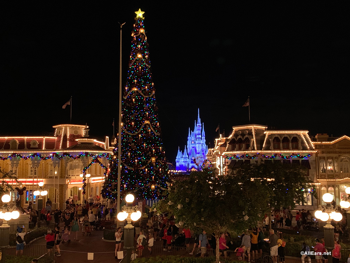 Smile! The Best Spots for your Family's Christmas Pictures at Walt ...