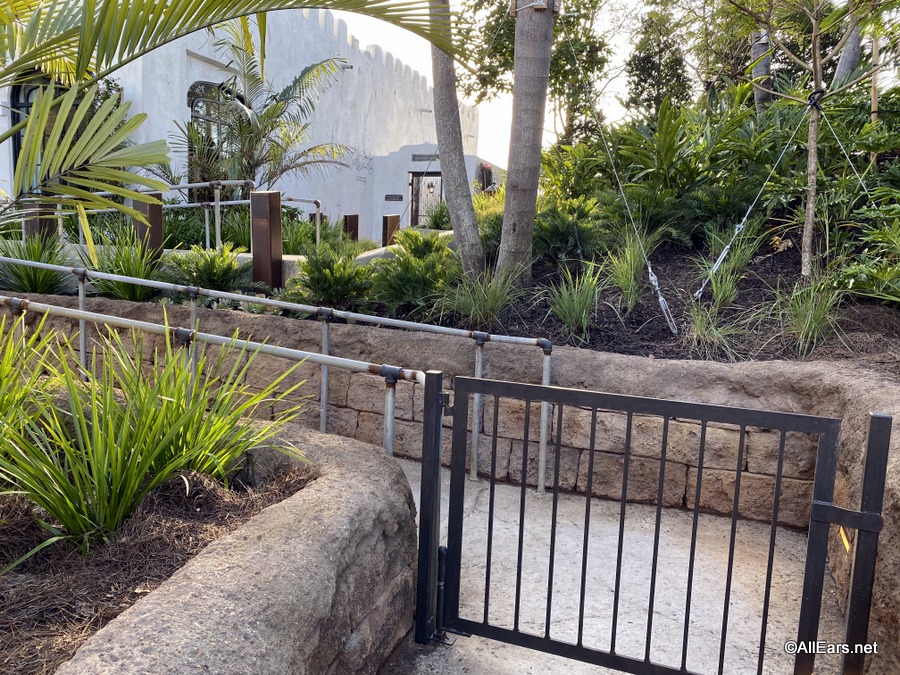 New Club 33 Lounge Open at Walt Disney World's Animal Kingdom - AllEars.Net
