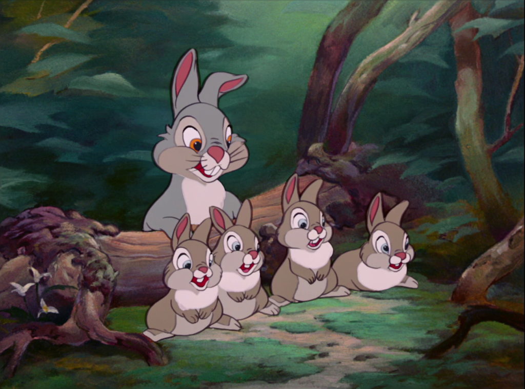 Disney Bunnies Allears Net