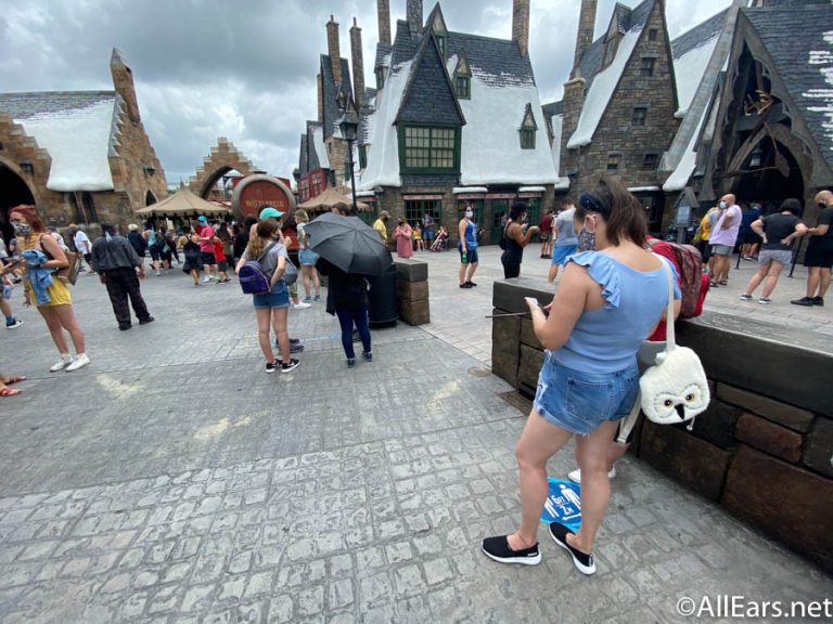 How to Navigate the Crowds in the Wizarding World of Harry Potter at ...