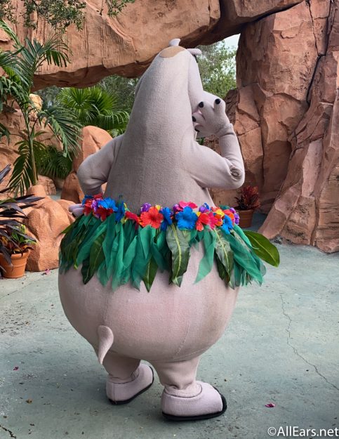 Universal 2020 Gloria Madagascar Character Meet and Greet-3 - AllEars.Net