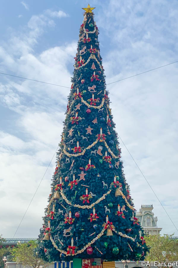 Photos Go On A 2020 Walt Disney World Christmas Tree Tour Allears Net