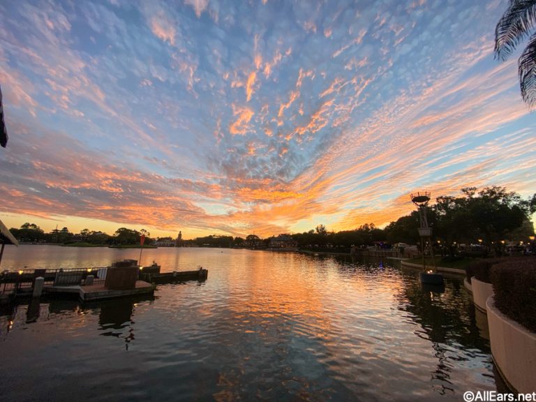 The AllEars Team Shares Their 2021 Disney Resolutions! - AllEars.Net