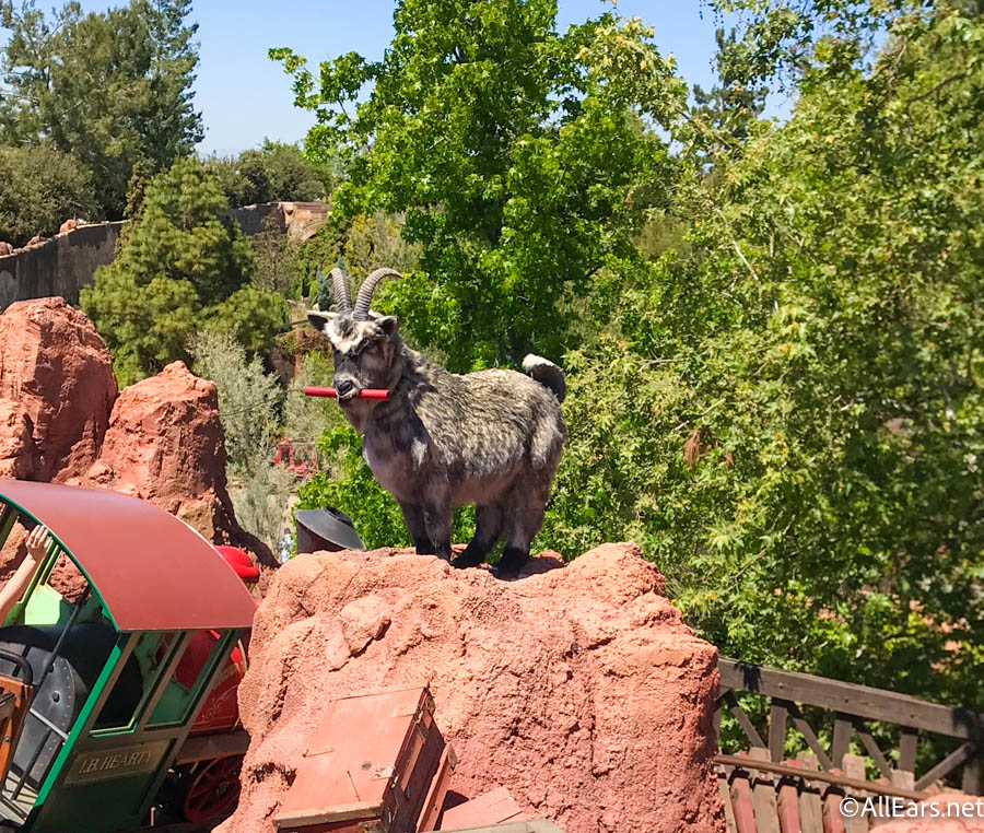 Would YOU Want to Ride a Backyard Disney Roller Coaster? Now You Can ...