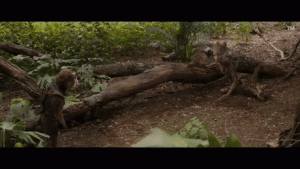 groot dying infinity war rocket - AllEars.Net