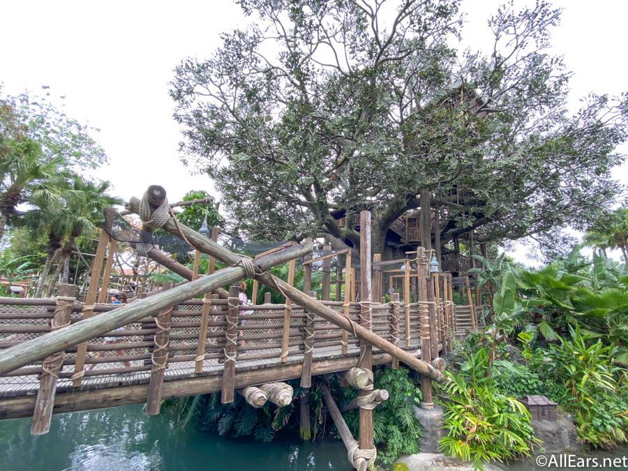 Ranking the Rides of Magic Kingdom — Based on YOUR Reviews - AllEars.Net
