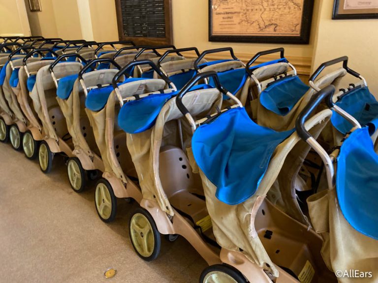 Everything You Need to Know About Stroller Rentals in Disney World ...