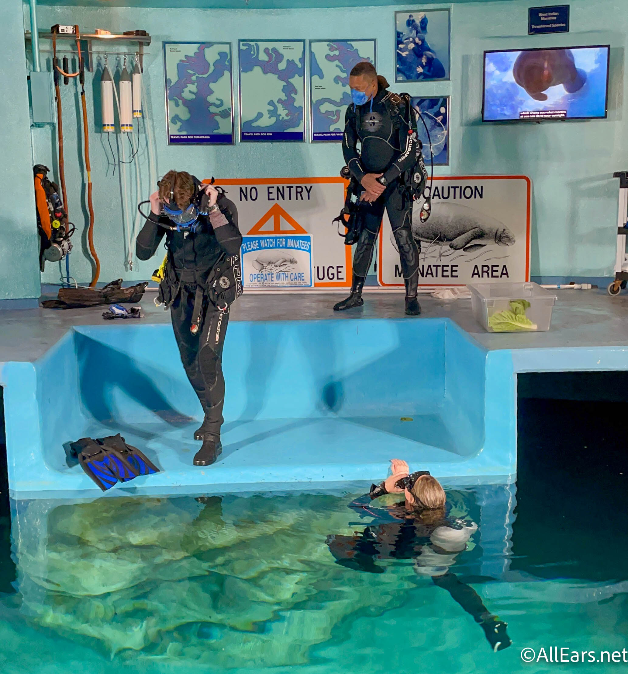 wdw 2021 epcot the seas manatee tank dropped item cleaning diver scuba ...