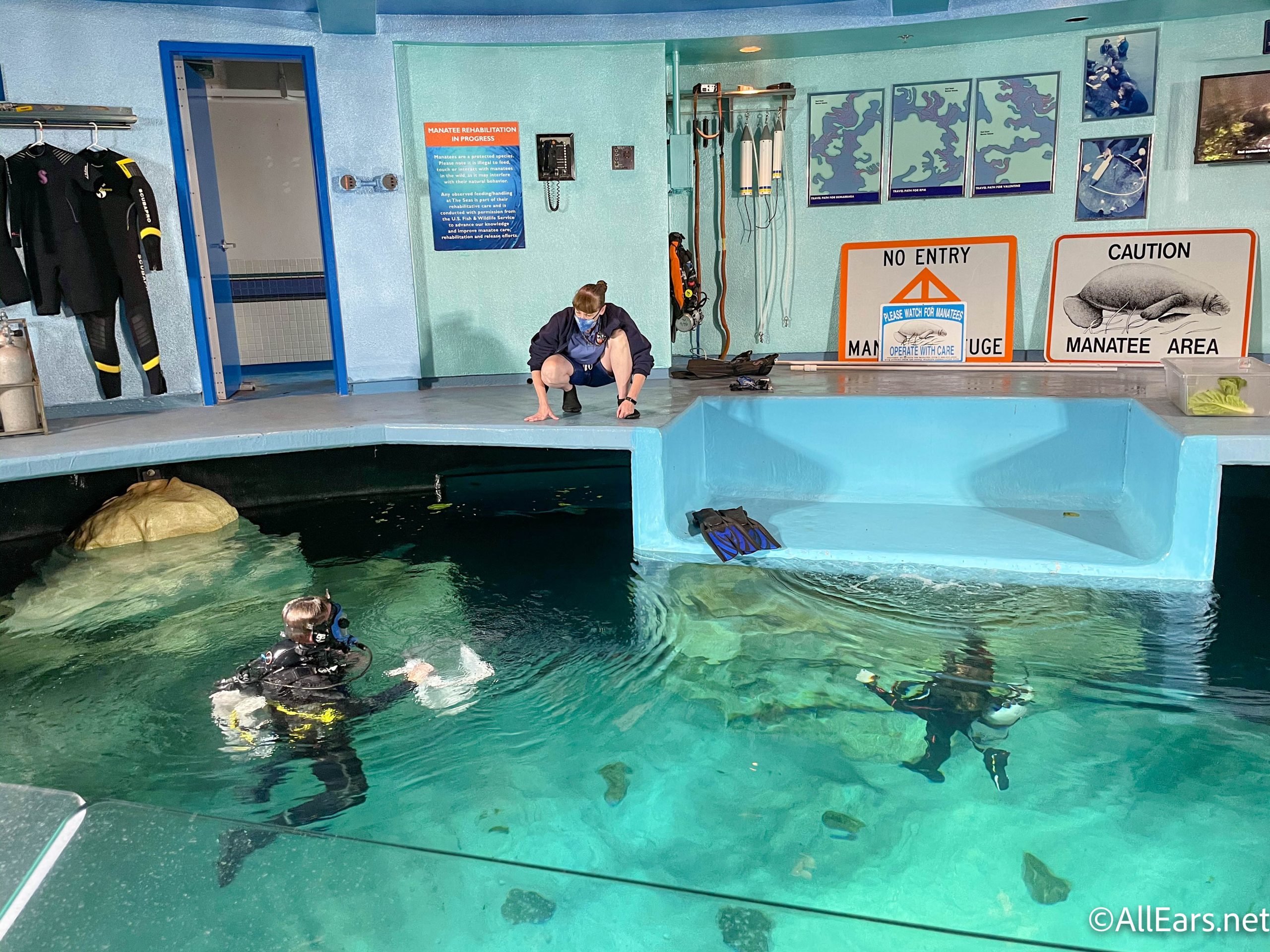 wdw 2021 epcot the seas manatee tank dropped item cleaning diver scuba ...