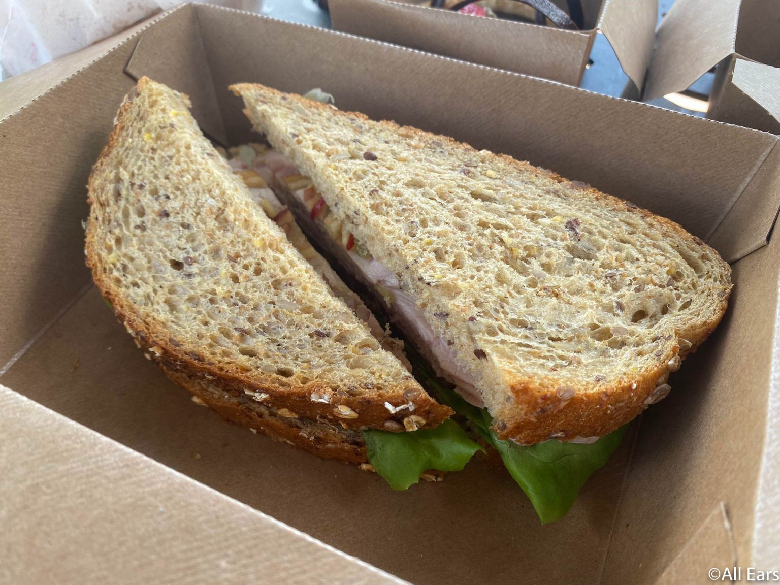 The 10 Best Disney World Quick Service Restaurants According to Our ...