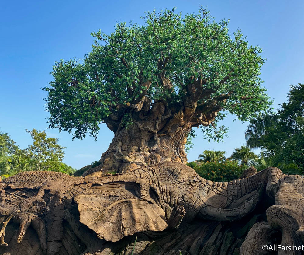 Can You Do Everything at Walt Disney World in a Week? - AllEars.Net