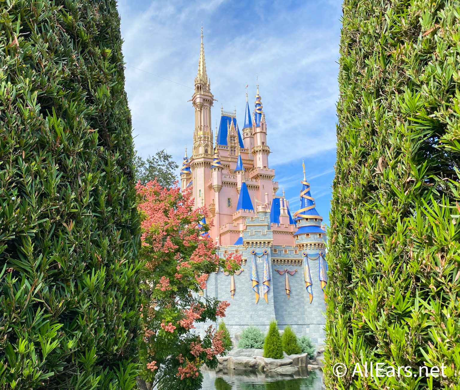 What Your Favorite Disney World Park Says About You - AllEars.Net