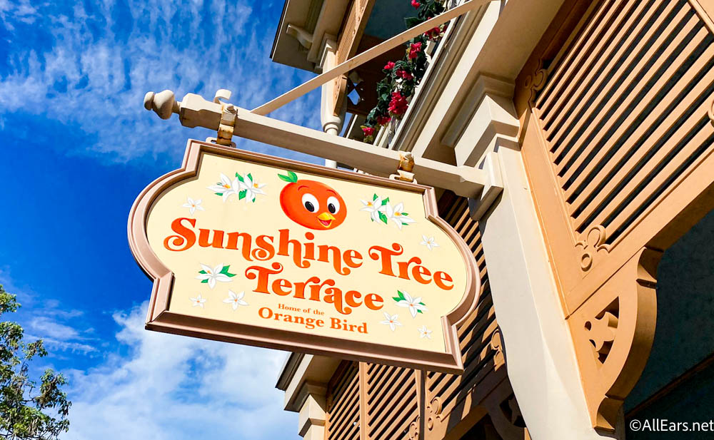 Disney Menu Updates: EXCLUSIVE Snacks, New Burgers, and More! - AllEars.Net