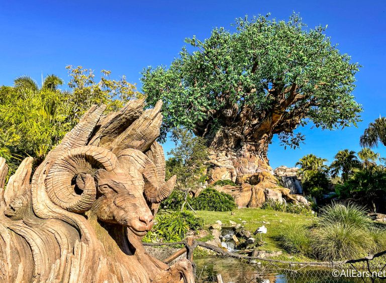 What You DIDN'T Know Was Carved into the Tree of Life at Disney's ...