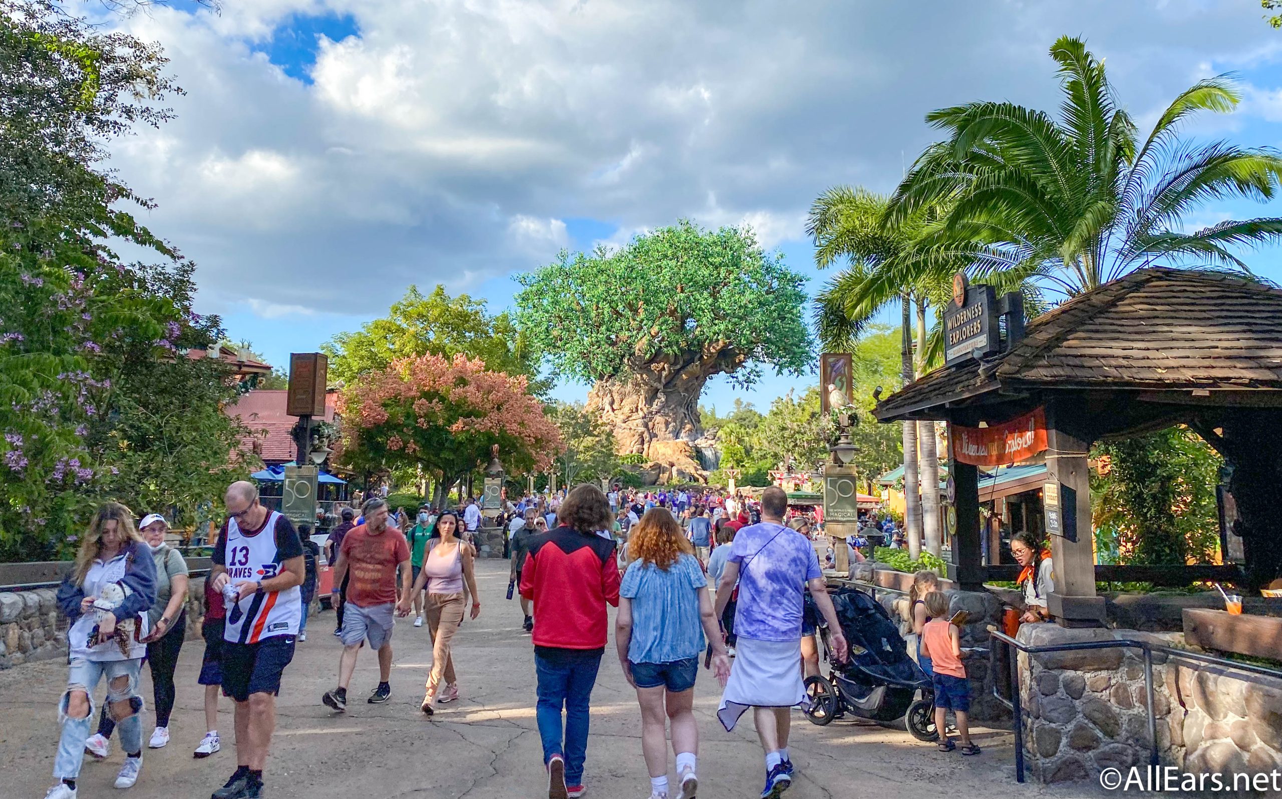 2021 wdw walt disney world dak disney's animal kingdom tree of life ...