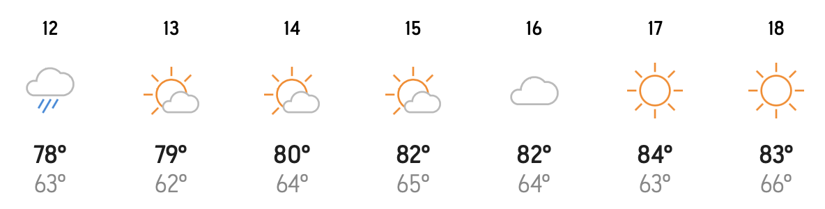 AccuWeather December 15th 2021 weekly weather - AllEars.Net