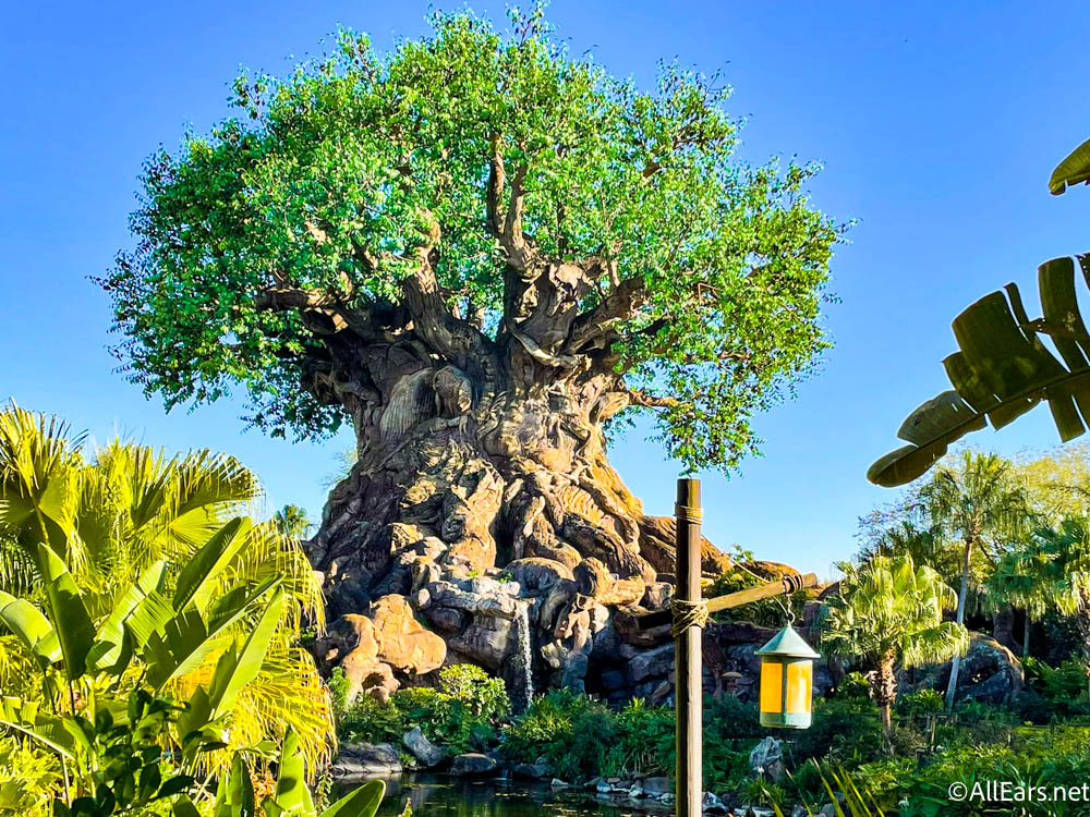 2022-wdw-atmos-dak-tree of life-stock - AllEars.Net