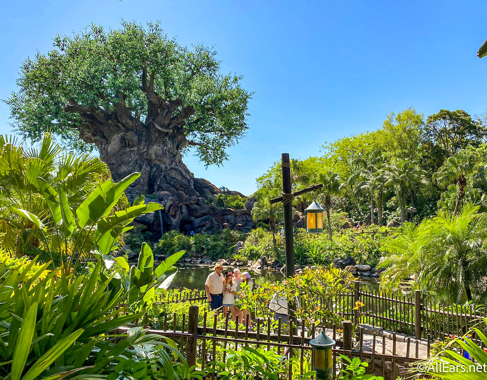 2022-dak-animal-kingdom-atmos-tree-of-life-3 - AllEars.Net