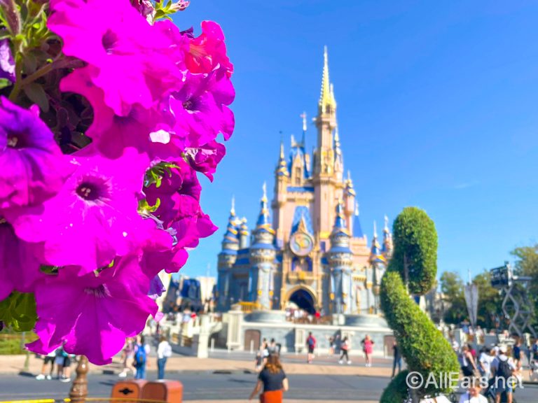 Disney Menu Updates: A Disney Springs Location Closes (and a New One ...