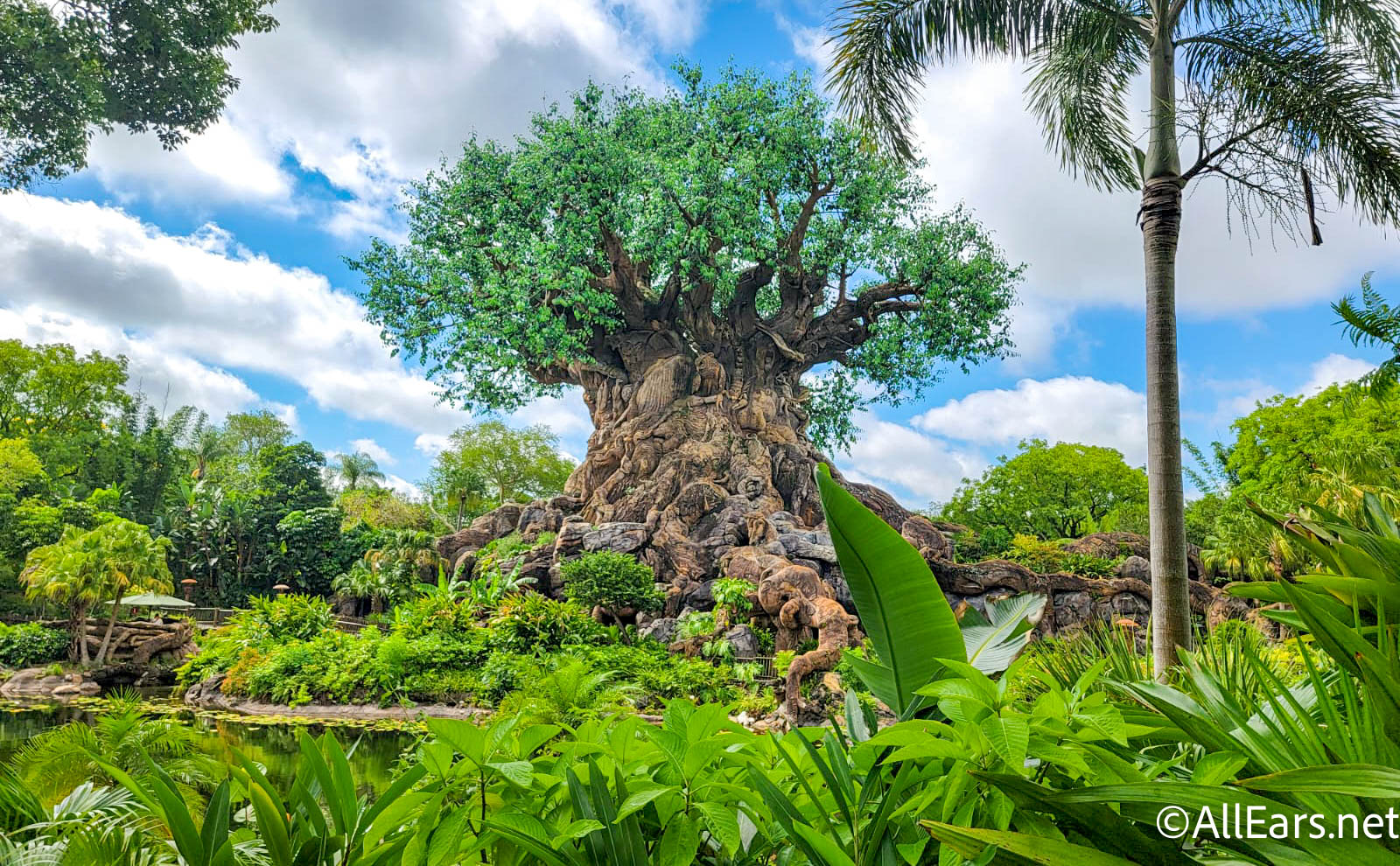 2022-wdw-dak-animal-kingdom-tree-of-life-atmos-7 - AllEars.Net