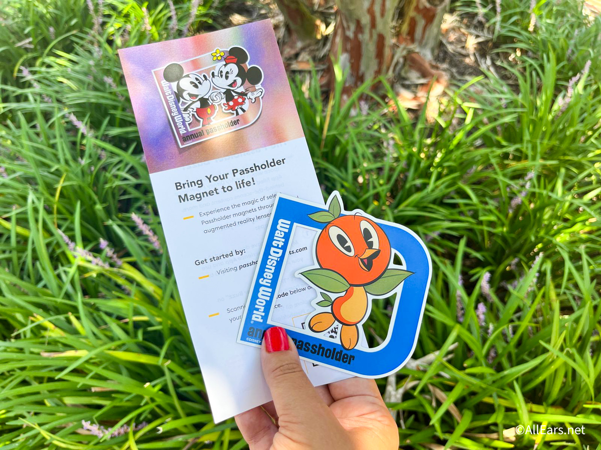 RELEASE DATE Announced for Figment Annual Passholder Magnet in Disney ...