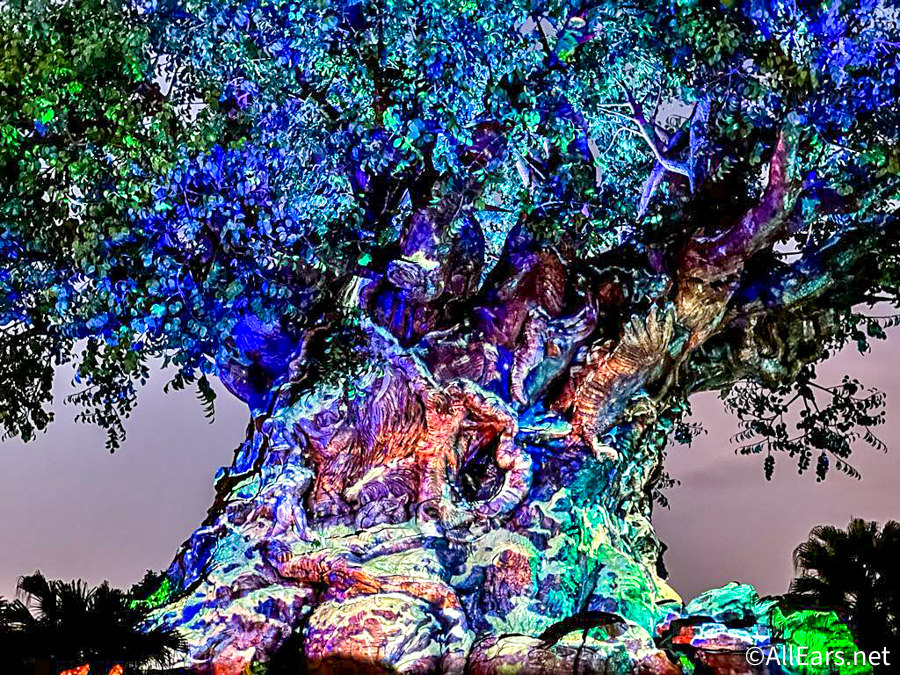 Tree Of Life Show Gets A Big Update In Disney World Allears Net
