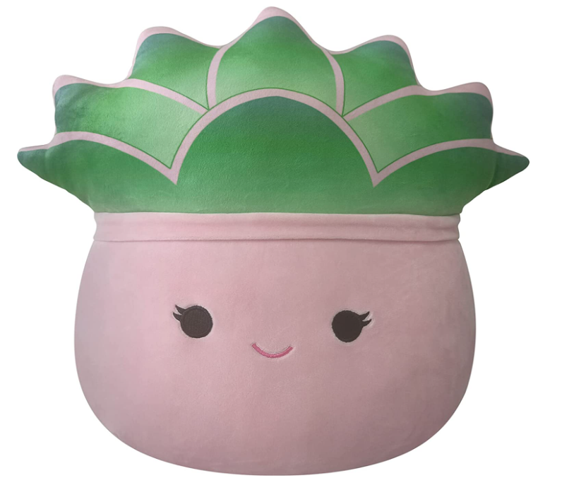 A Macaron, A Succulent, and 5 More NEW Squishmallows You Can Get in ...