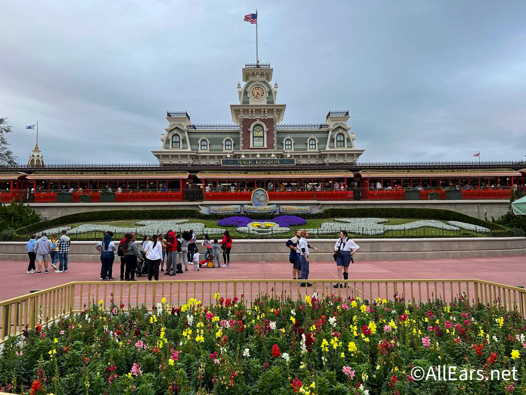 Disney World Transportation Guide: How to Get to Magic Kingdom ...