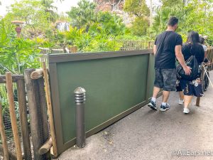 wdw 2022 dak animal kingdom tree of life discovery island trails ...