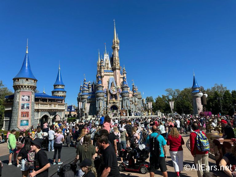 AllEars TV: Surviving Disney World With TOO MANY PEOPLE - AllEars.Net