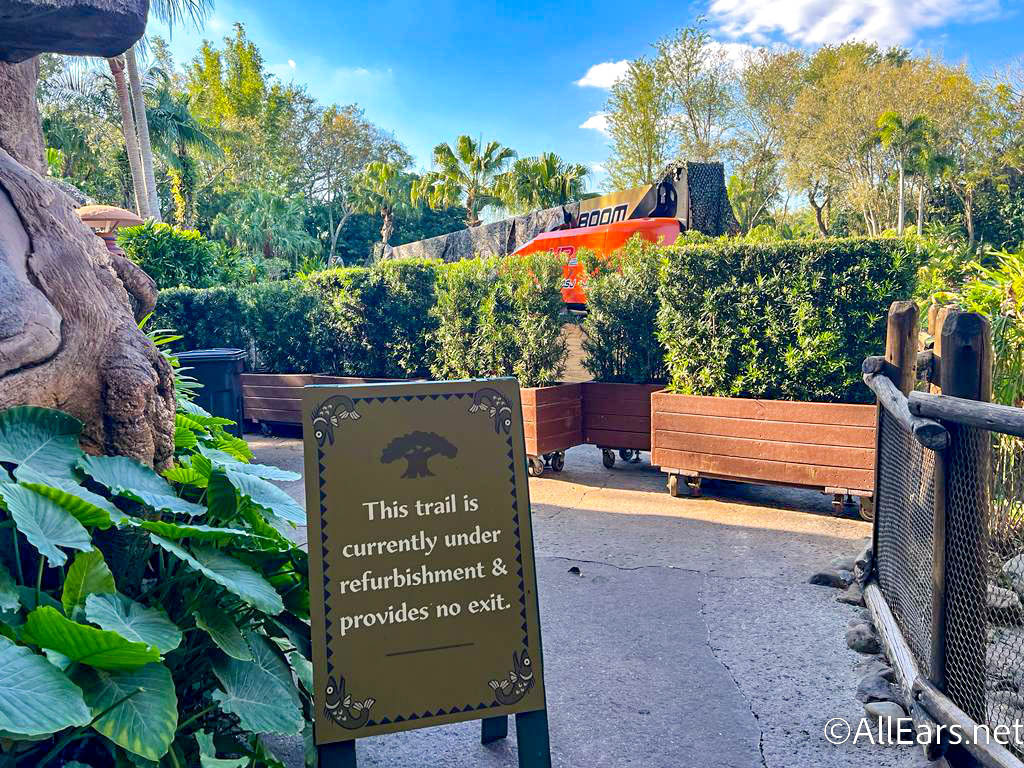 wdw 2022 dak animal kingdom discovery island trails closed construction ...