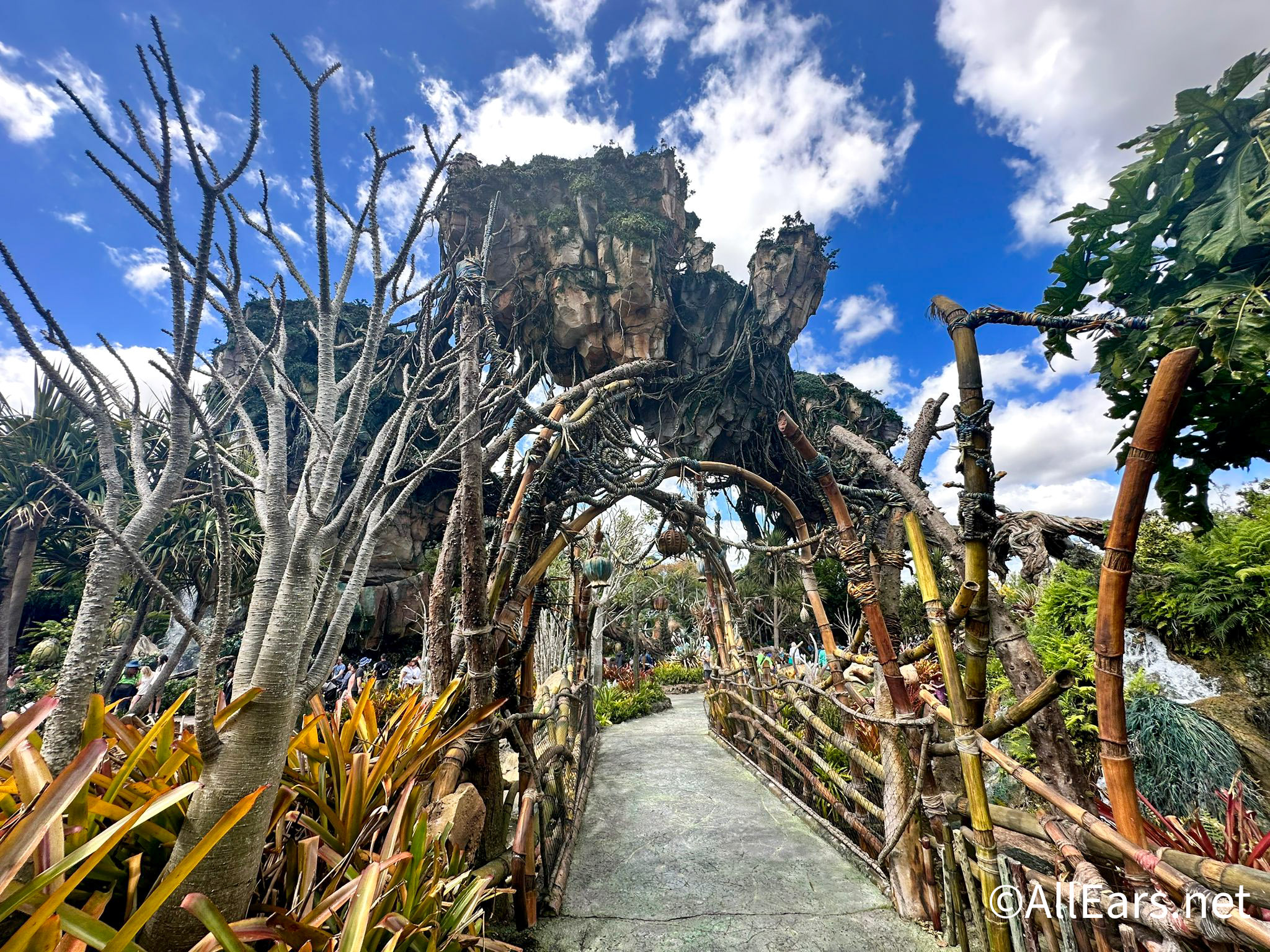 "We're Thinking Bold." UPDATE on Disney's New Avatar Experience ...