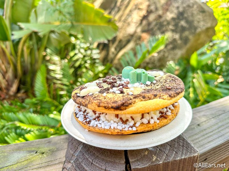 The Most Expensive Snacks You Can Get Included With the Disney World ...