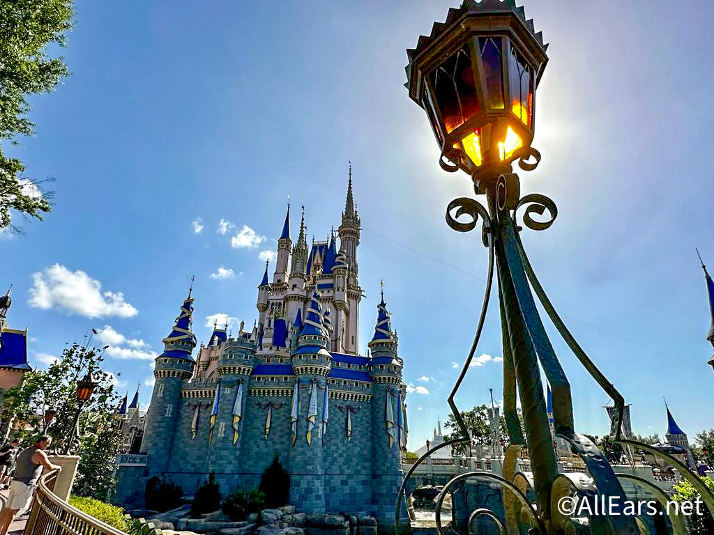 2021 DLR disneyland resort disneyland park castle popcorn stand blue ...