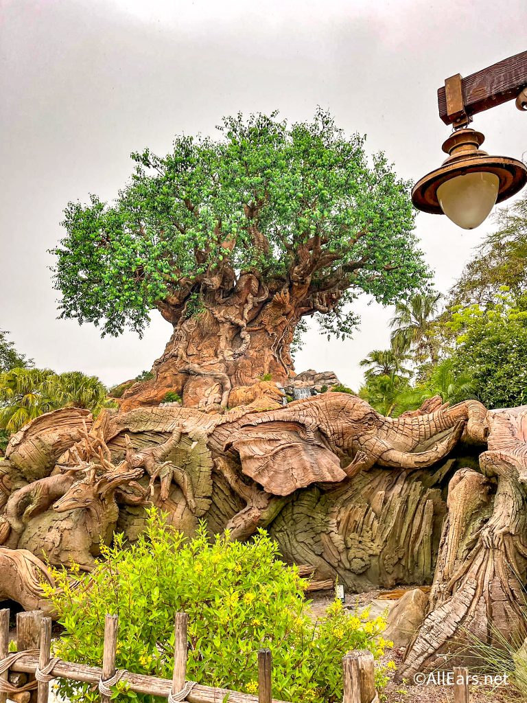 2023 wdw dak tree of life atmo - AllEars.Net