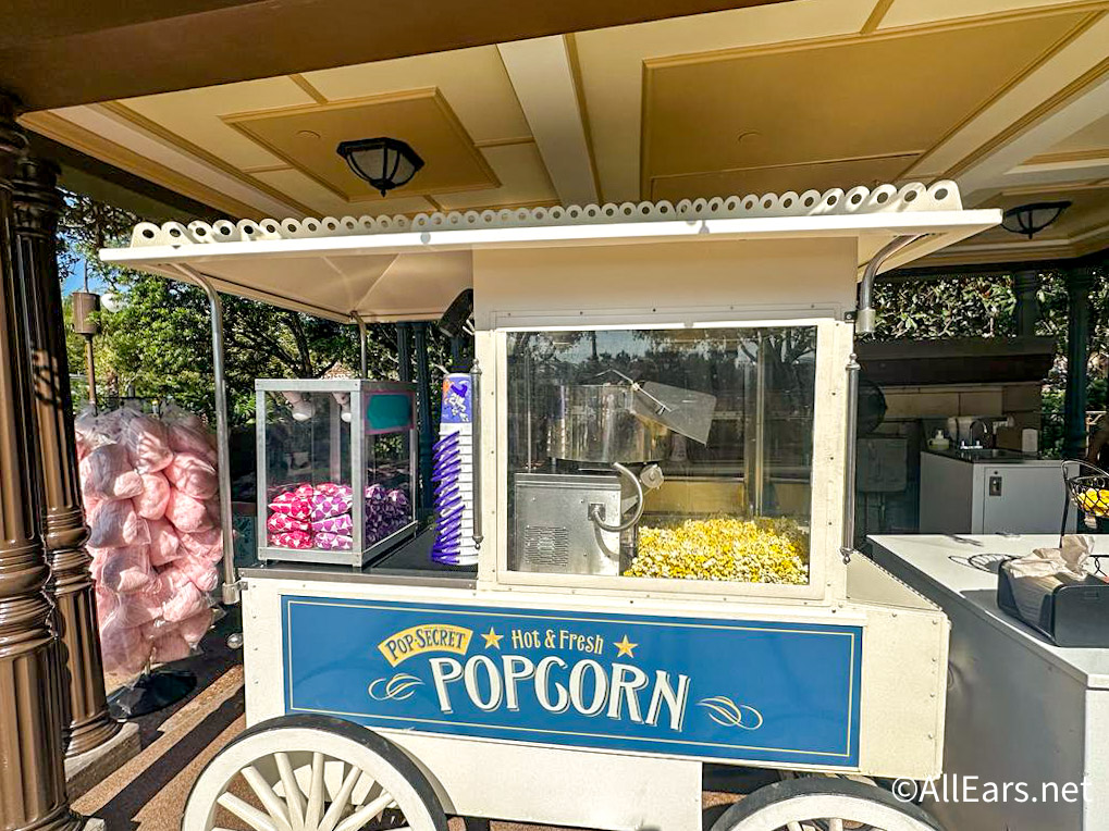 This Magic Kingdom Churro Cart is BACK…But It CHANGED - AllEars.Net