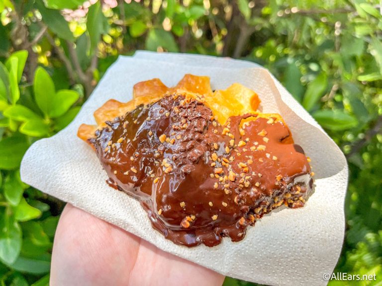 Follow the Dramatic Saga of a Popular Magic Kingdom Snack - AllEars.Net