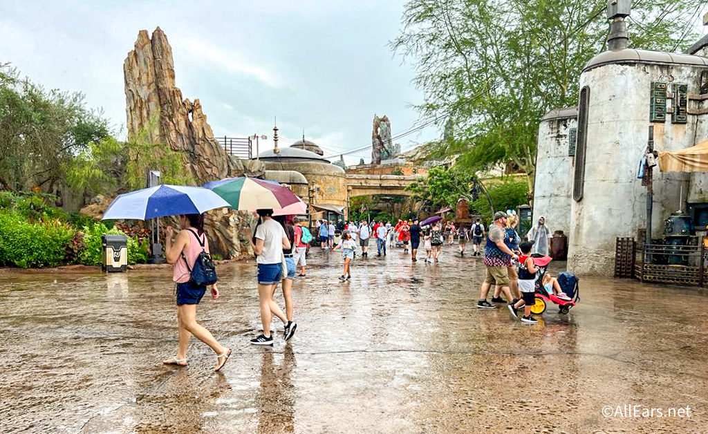 AllEars TV: Trapped in Disney's Hollywood Studios For 12 Hours ... AllEars TV: Trapped in Disney's Hollywood Studios For 12 Hours ...