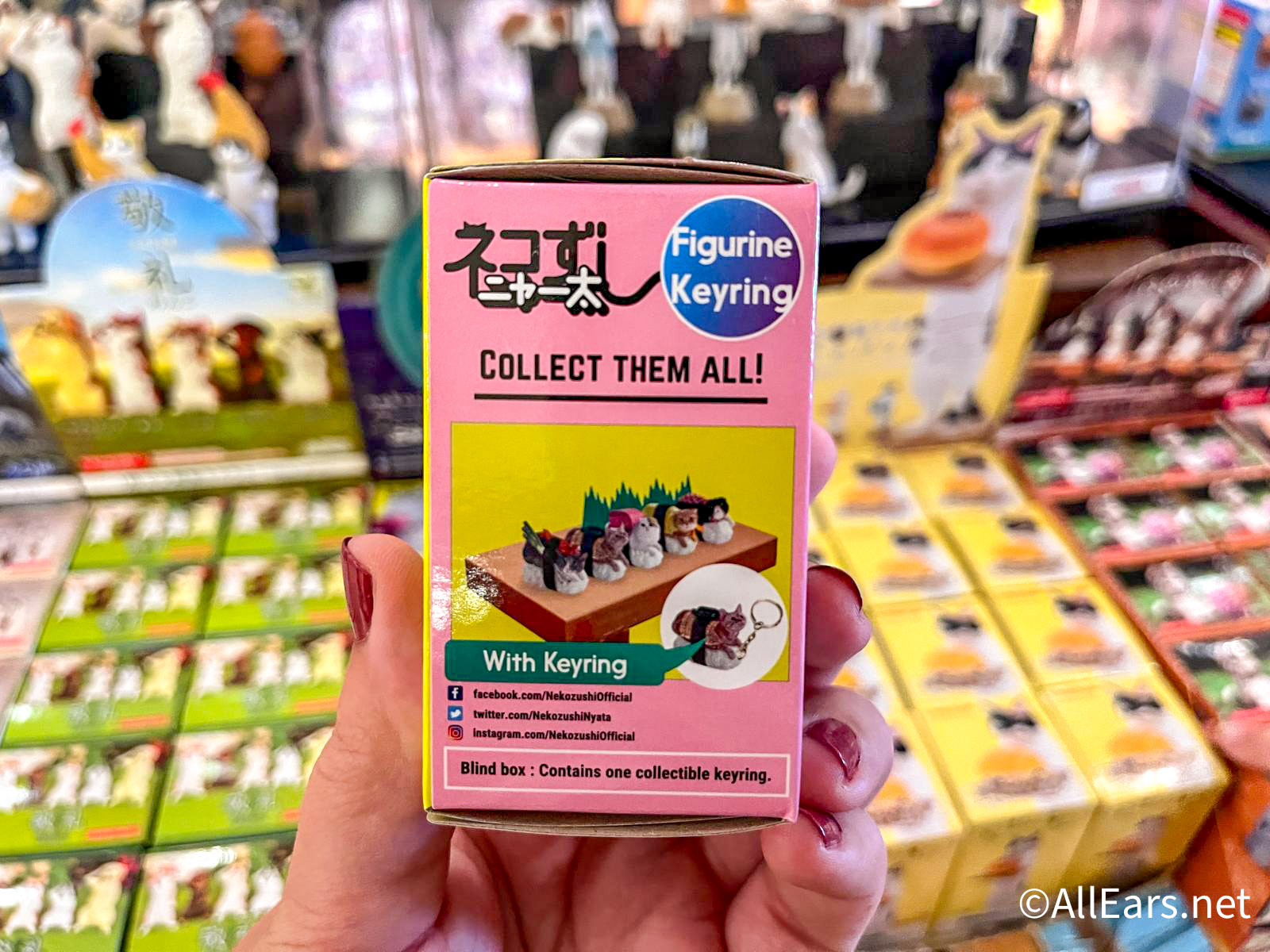 2023 WDW EPCOT Sushi Cat Keychains-5 - AllEars.Net
