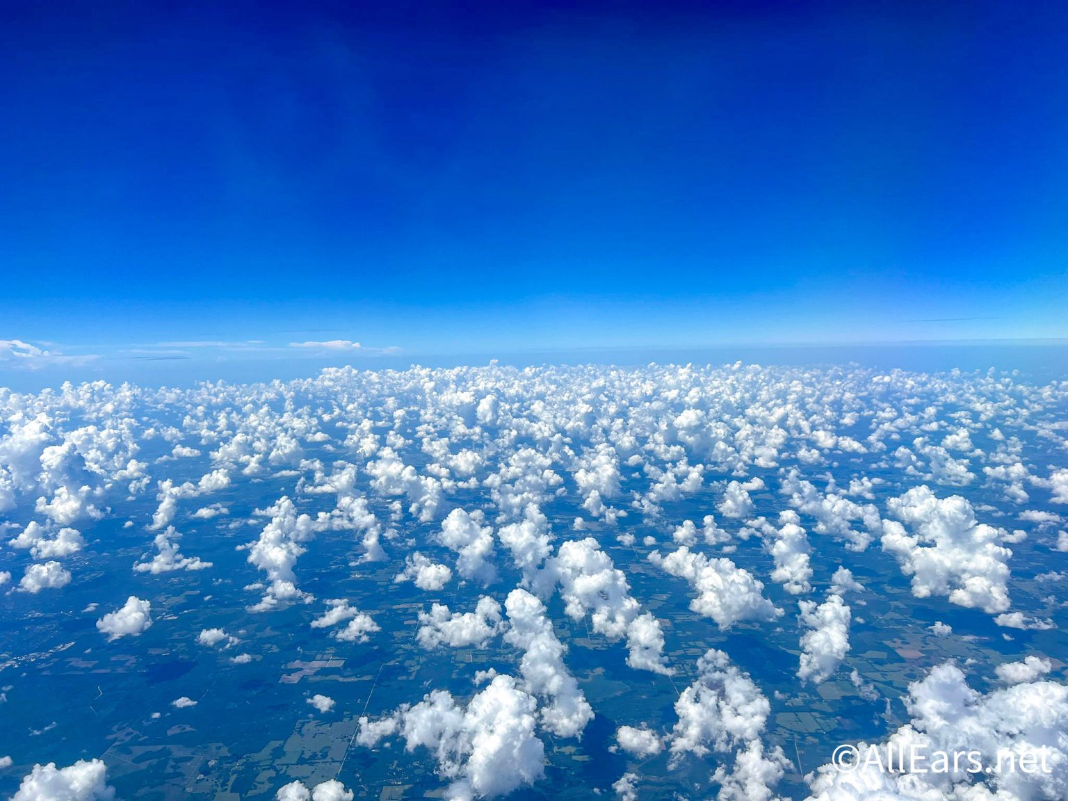 5 Important Rules to Know About TSA PreCheck for 2025 - AllEars.Net