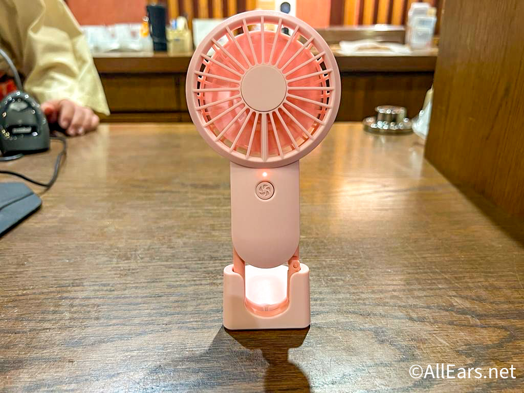 The SECRET Place to Get a Park Bag Essential in EPCOT? - AllEars.Net