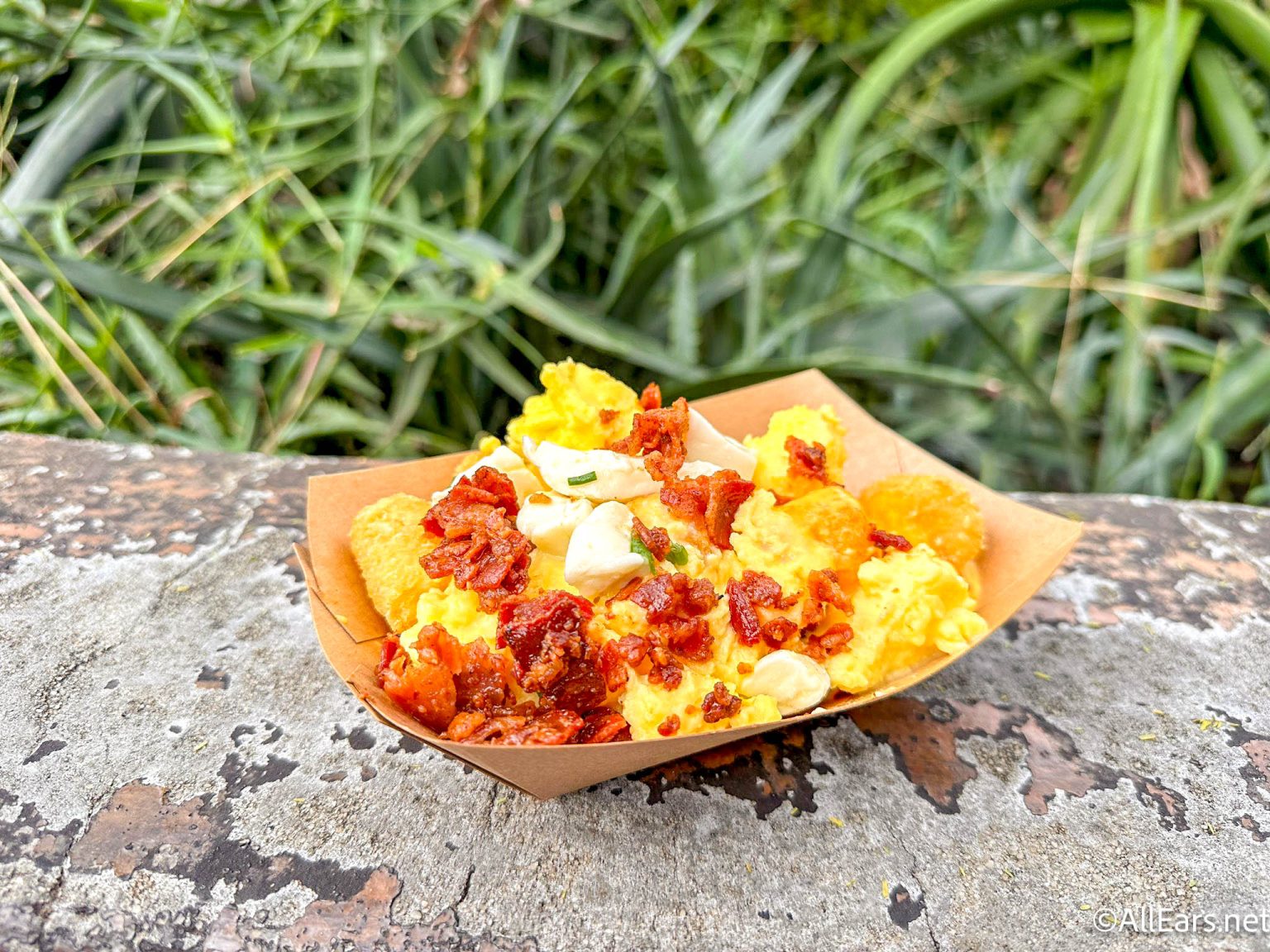 People Won't Shut Up About Breakfast, So Here Are The Best Breakfasts ...