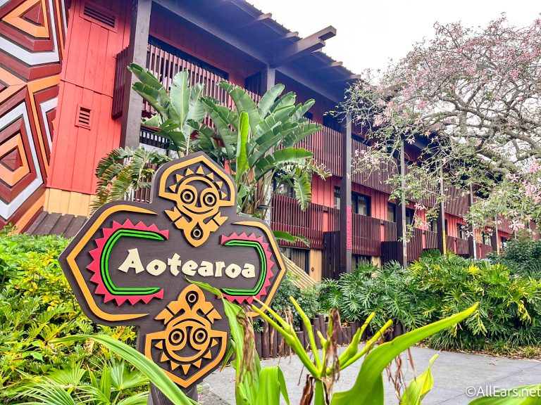 Allears Tv What You Need To Know Before You Stay At Disneys
