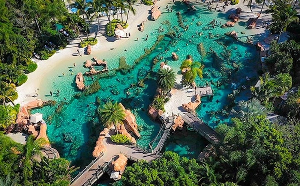 Is Discovery Cove Really Worth the Price? - AllEars.Net