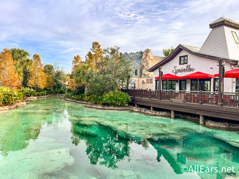 Disney Springs Permanently CLOSED 3 Stores in 2026 So Far. Here's the ...