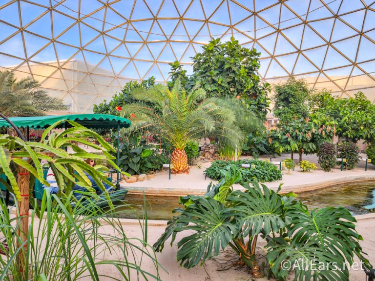 8 Things Disney Grandmas Will LOVE in the Parks - AllEars.Net