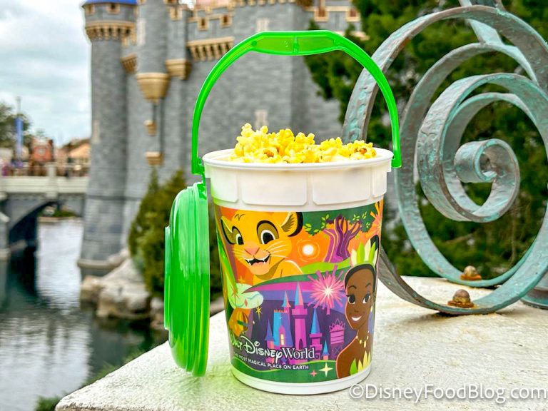 EVERY SINGLE Popcorn Bucket Disney Released in 2024! - AllEars.Net